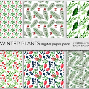 WINTER PLANTS Watercolor Papers Digital. Floral Winter Patterns ...