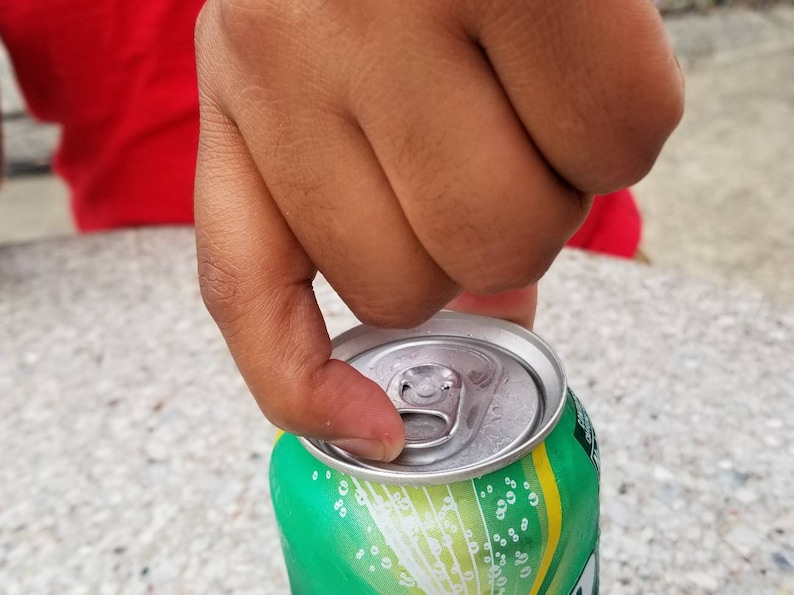 Beverage Can Closers & Openers. Keep Bugs/pest Out! Cookout,camping ...