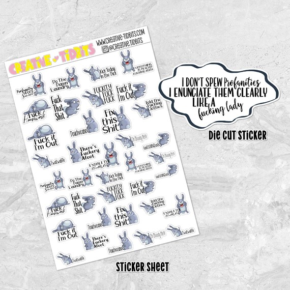 Profanity Stickers Snarky Planner Stickers Planner | Etsy