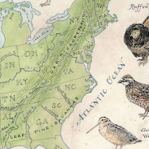 Dog Map, Game Bird, Pointing Dog, Map, Hunting Map, Sportsman, Hand ...