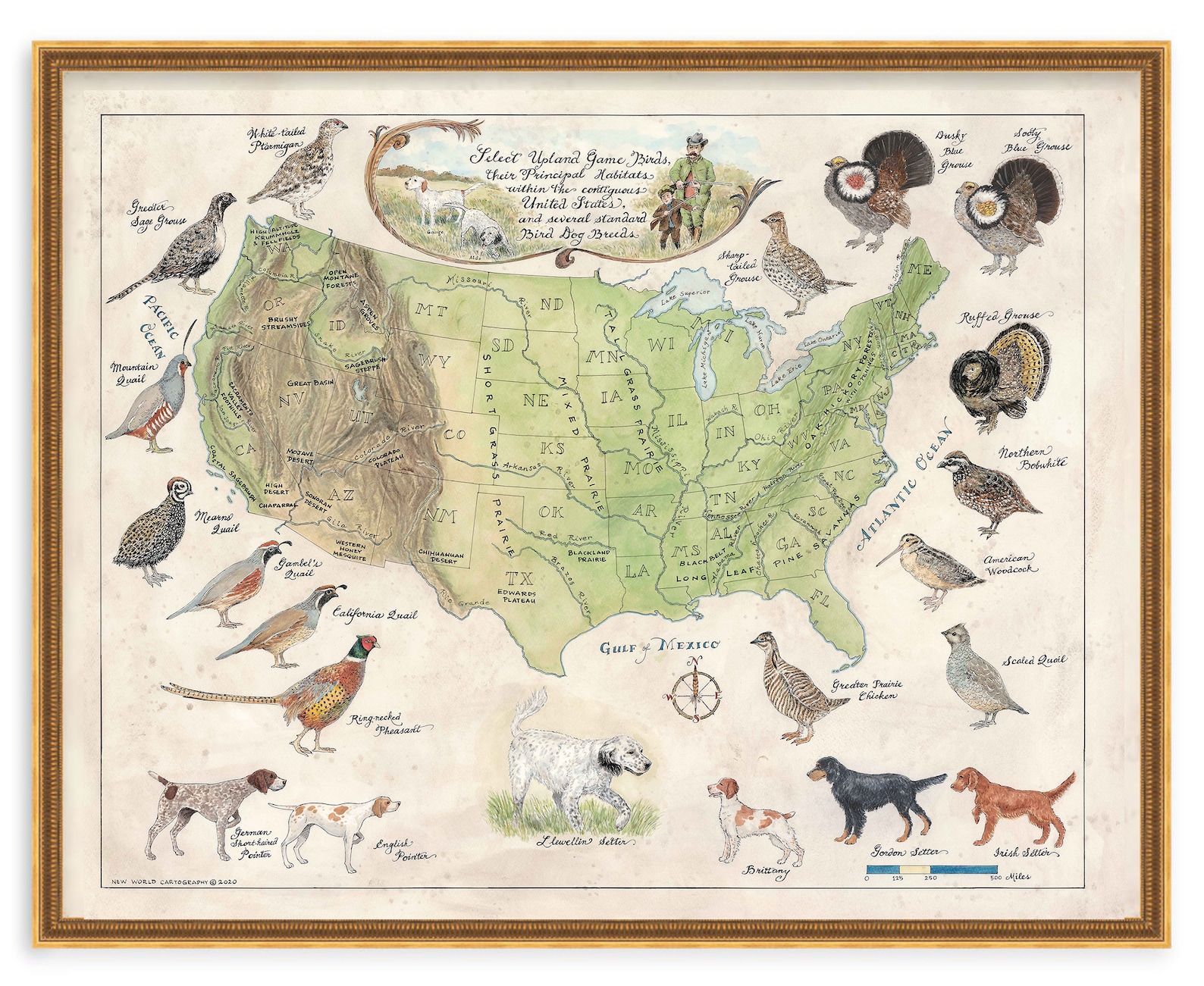 Dog Map, Game Bird, Pointing Dog, Map, Hunting Map, Sportsman, Hand ...