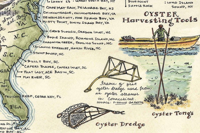 Oyster Map, Oysters of North America, Hand-drawn Collectible Map Gift ...