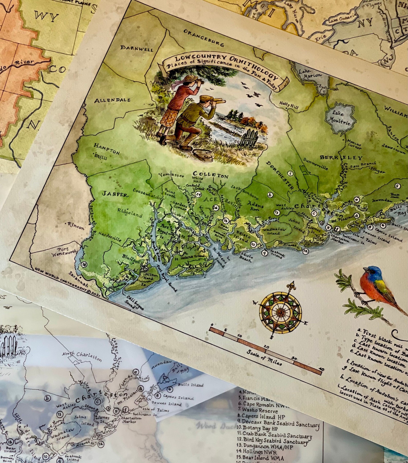 Lowcountry Ornithology Map Birding Map Lowcountry Map | Etsy