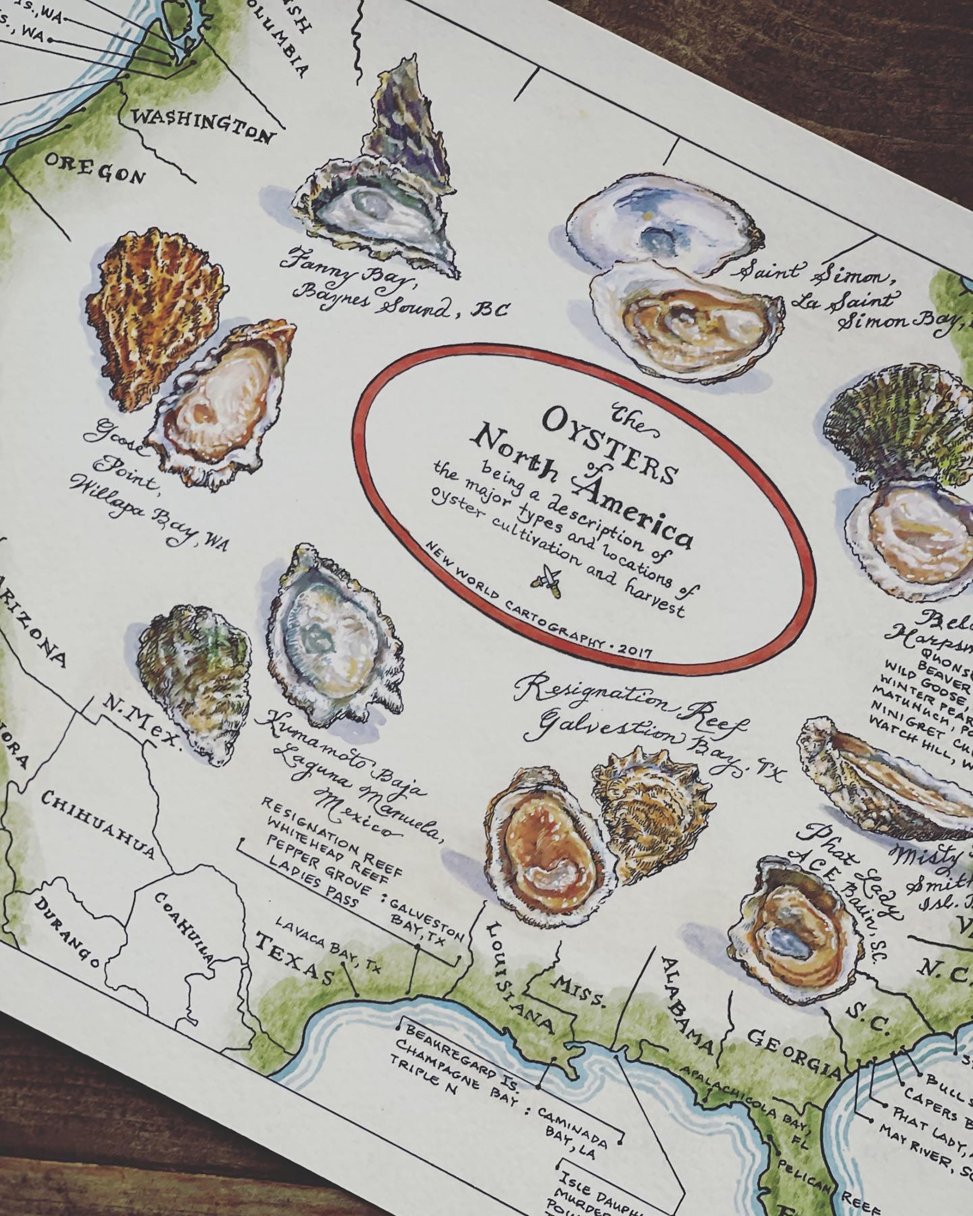 Oyster Map, Oysters of North America, Hand-drawn Collectible Map Gift ...