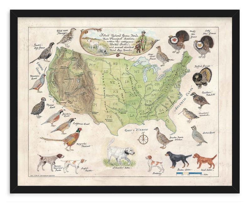 Dog Map Game Bird Pointing Dog Map Hunting Map Sportsman - Etsy