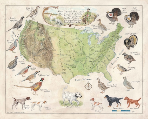 Dog Map Game Bird Pointing Dog Map Hunting Map Sportsman | Etsy Canada