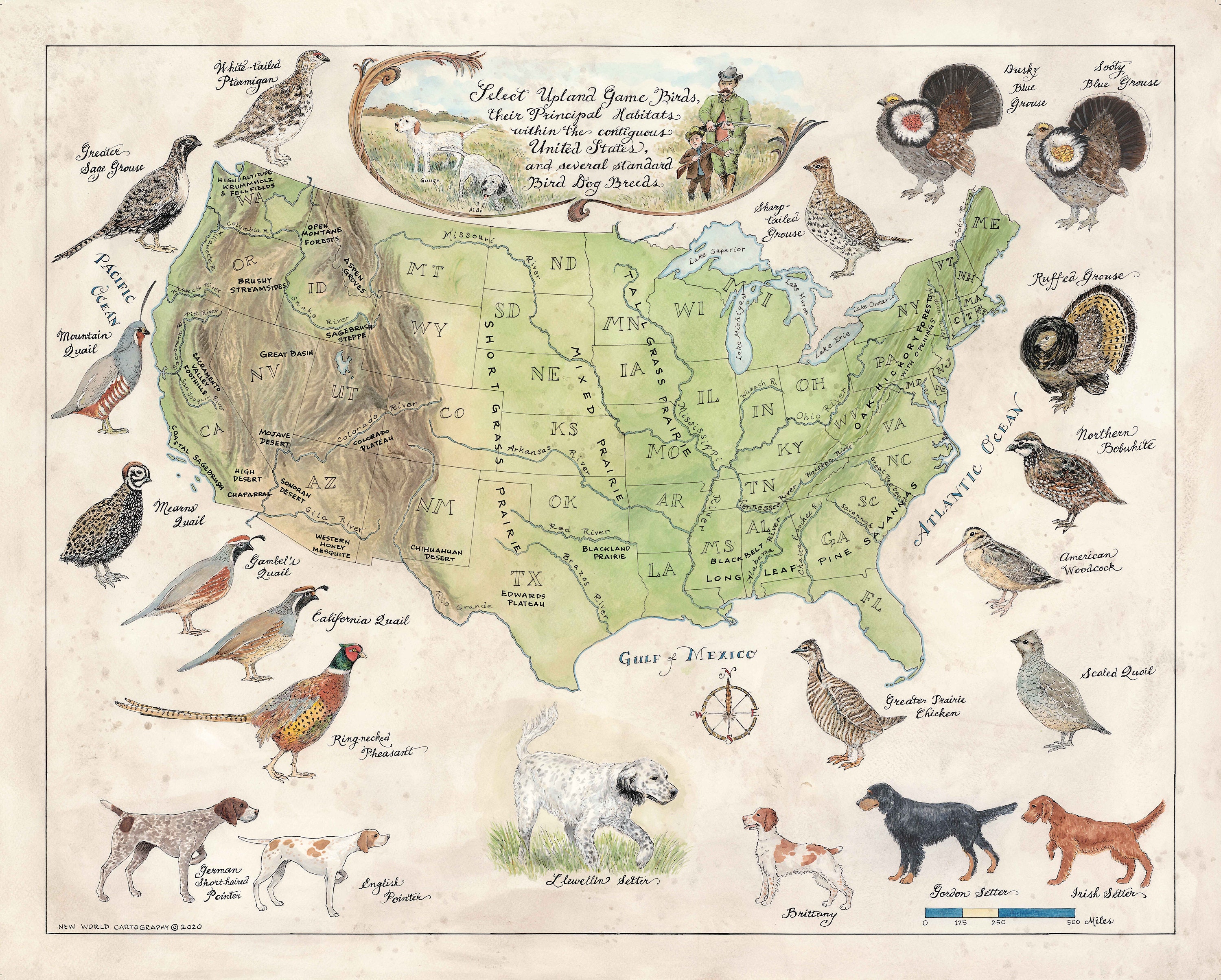 Dog Map Game Bird Pointing Dog Map Hunting Map Sportsman - Etsy Canada
