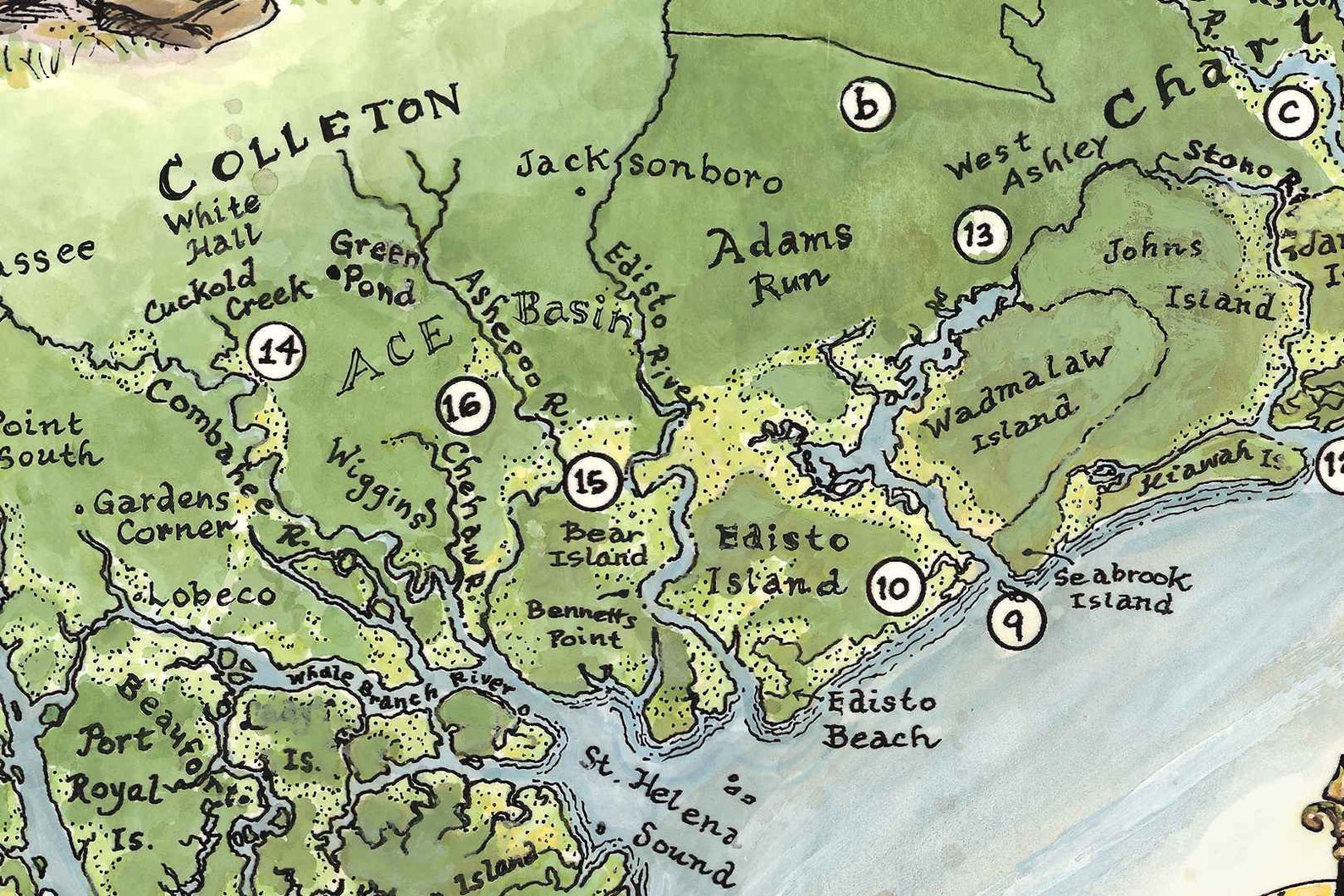 Lowcountry Ornithology Map Birding Map Lowcountry Map - Etsy