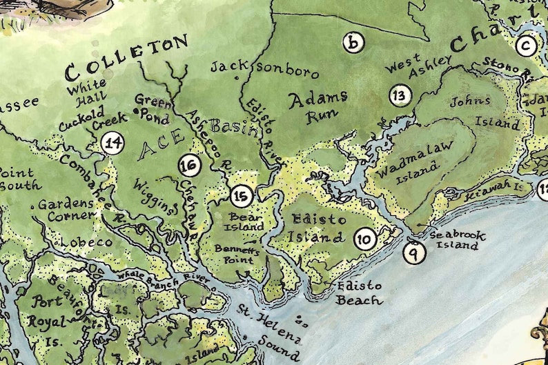 Lowcountry Ornithology Map, Birding Map, Lowcountry Map, Birdwatching ...