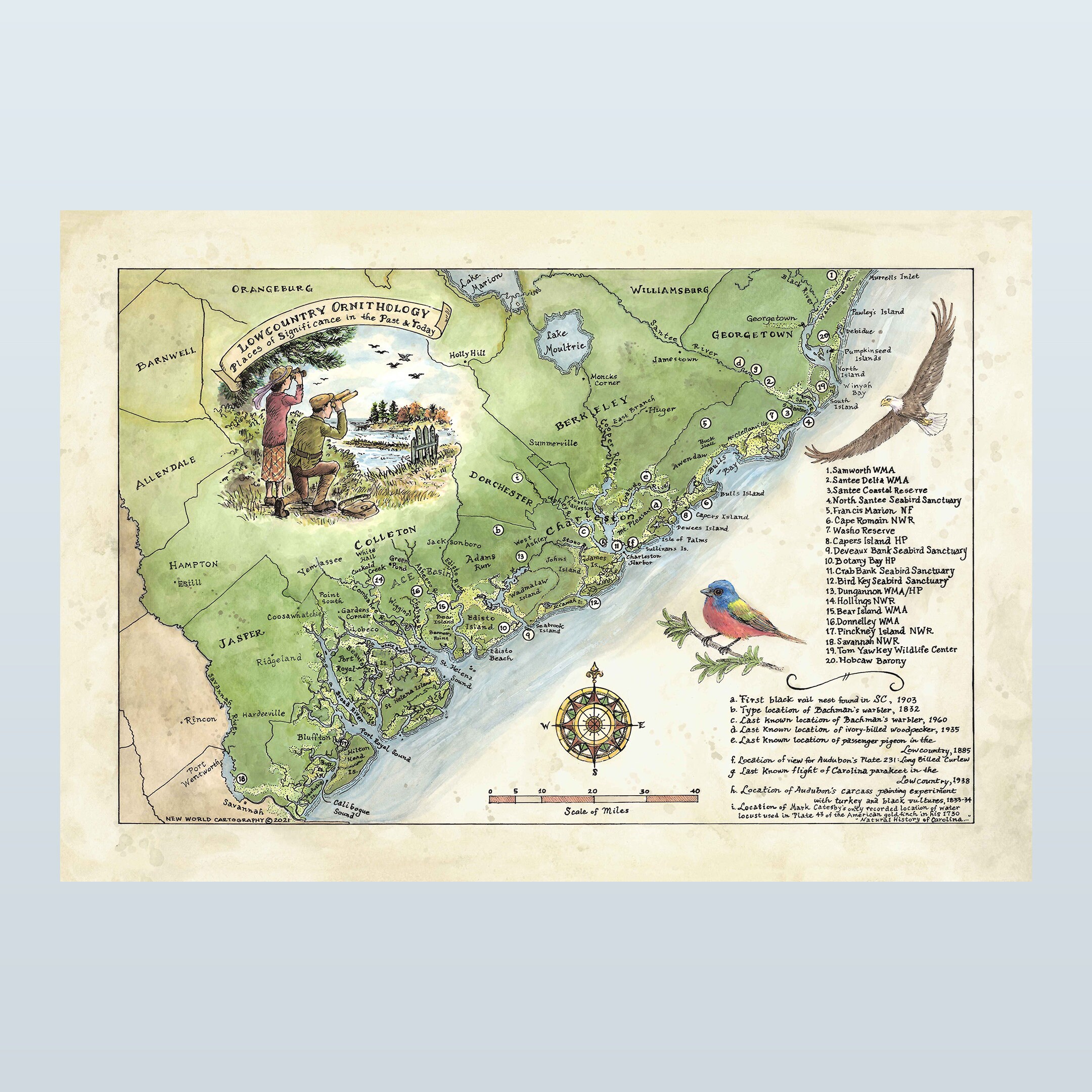 Lowcountry Ornithology Map Birding Map Lowcountry Map - Etsy