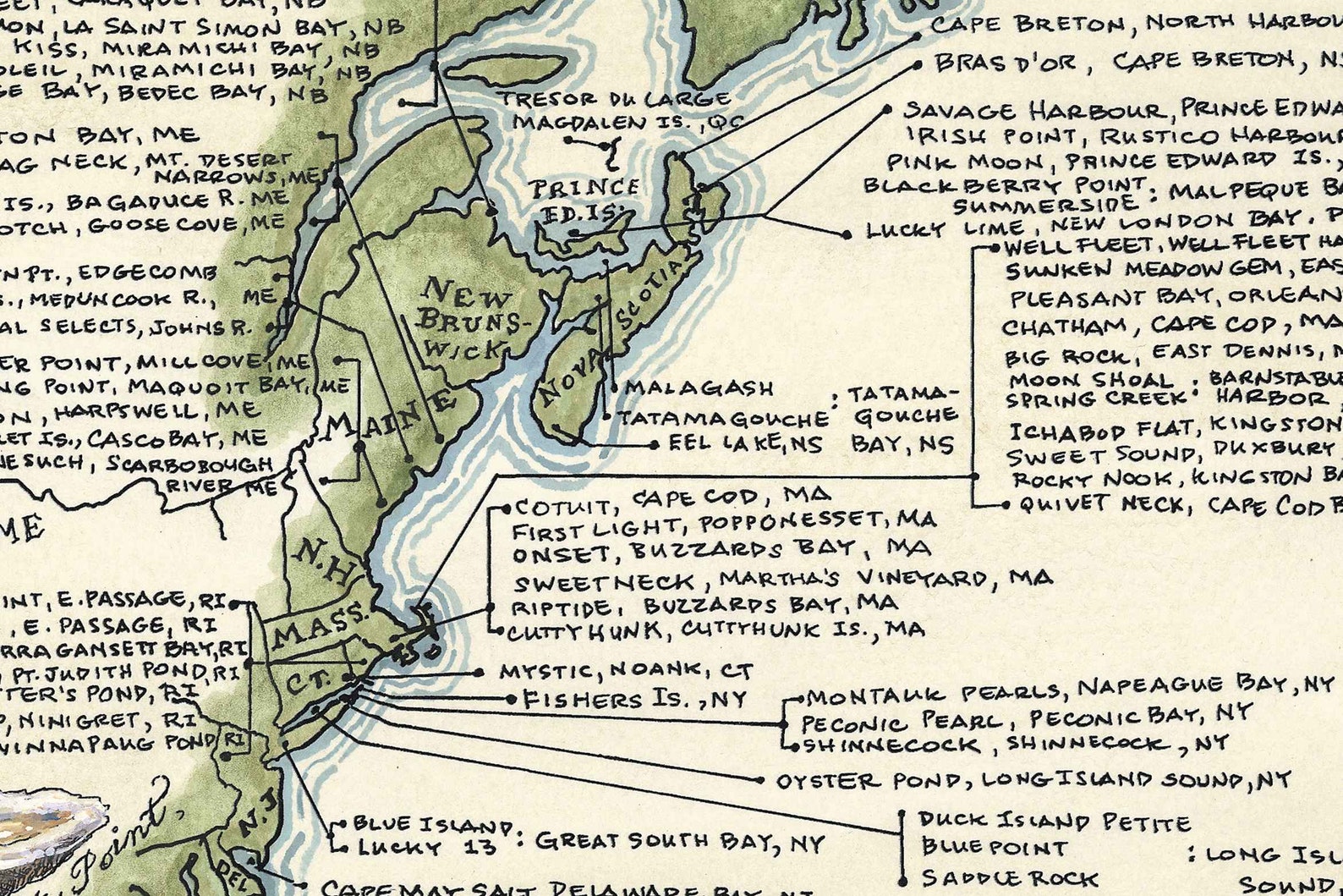 Oyster Map, Oysters of North America, Hand-drawn Collectible Map Gift ...