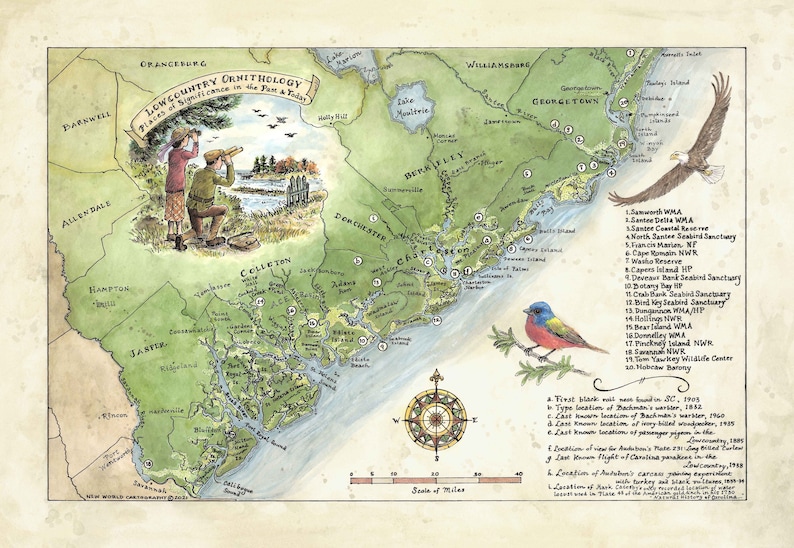 Lowcountry Ornithology Map, Birding Map, Lowcountry Map, Birdwatching ...