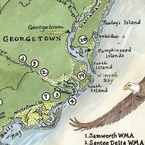 Lowcountry Ornithology Map, Birding Map, Lowcountry Map, Birdwatching ...