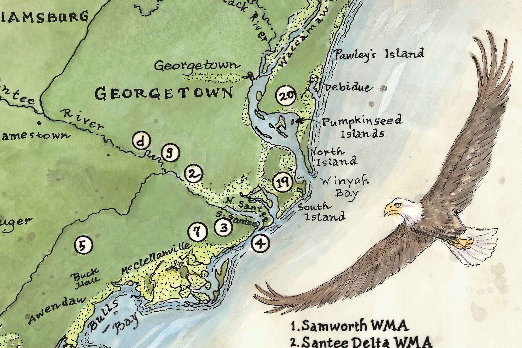 Lowcountry Ornithology Map, Birding Map, Lowcountry Map, Birdwatching ...