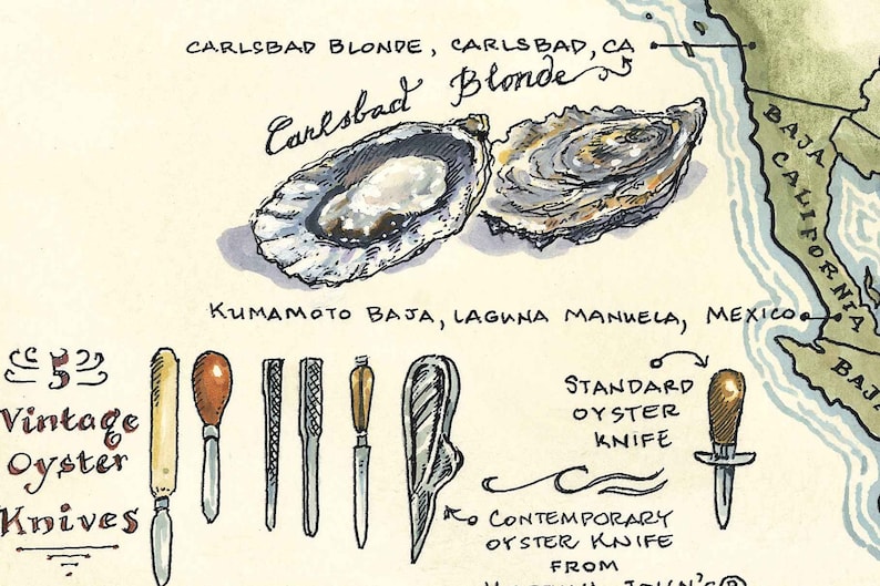 Oyster Map, Oysters of North America, Hand-drawn Collectible Map Gift ...