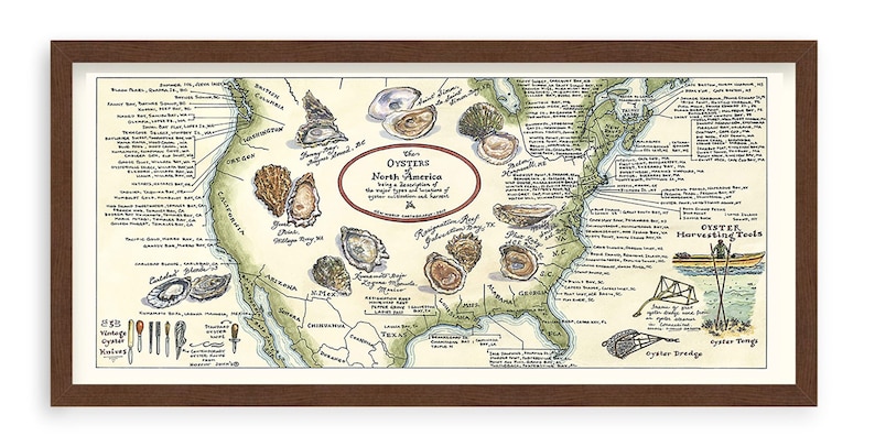 Oyster Map, Oysters of North America, Hand-drawn Collectible Map Gift ...