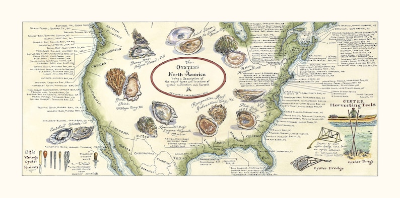 Oyster Map, Oysters of North America, Hand-drawn Collectible Map Gift ...