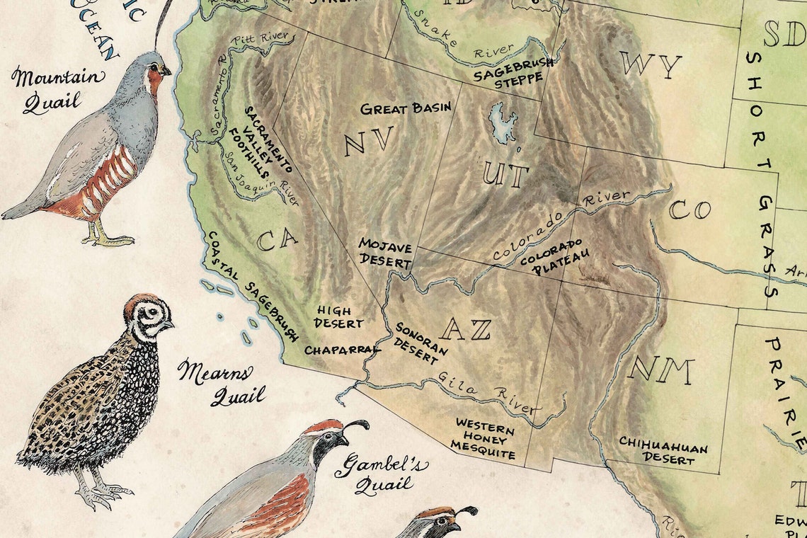 Dog Map Game Bird Pointing Dog Map Hunting Map Sportsman - Etsy