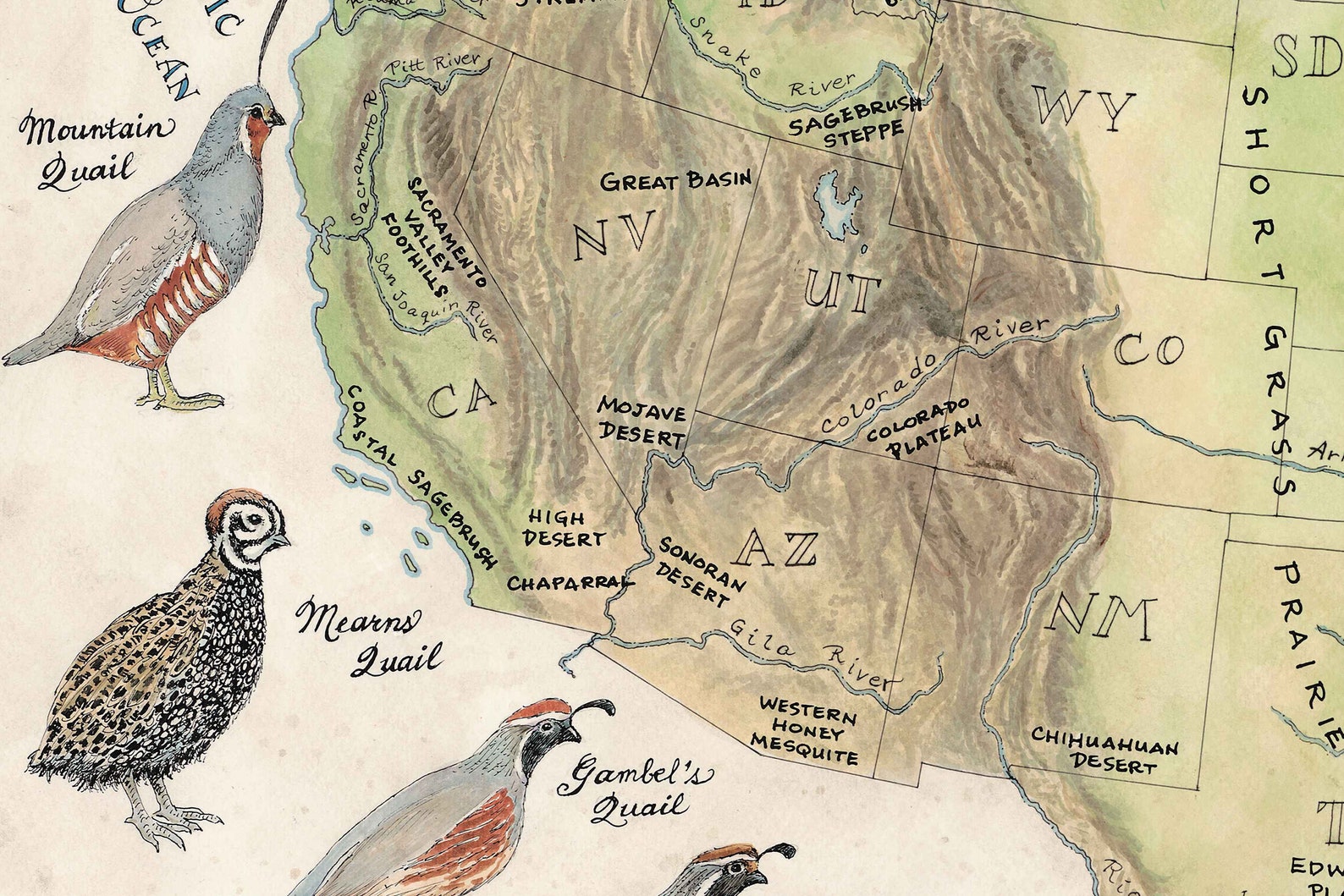 Dog Map Game Bird Pointing Dog Map Hunting Map Sportsman - Etsy