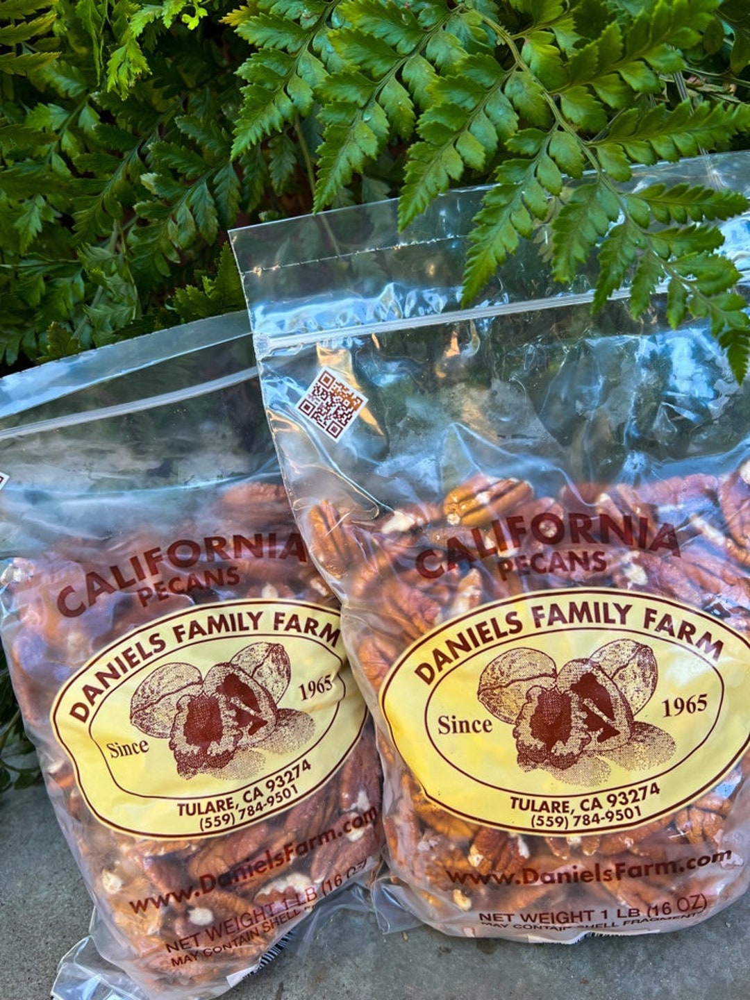 NEW CROP Bags of Pecans: Farmer Direct, California Grown 1lb Each - Etsy