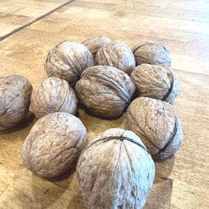 NEW 2026 CROP: In-shell Walnuts! California Grown, Allergy Aware ...