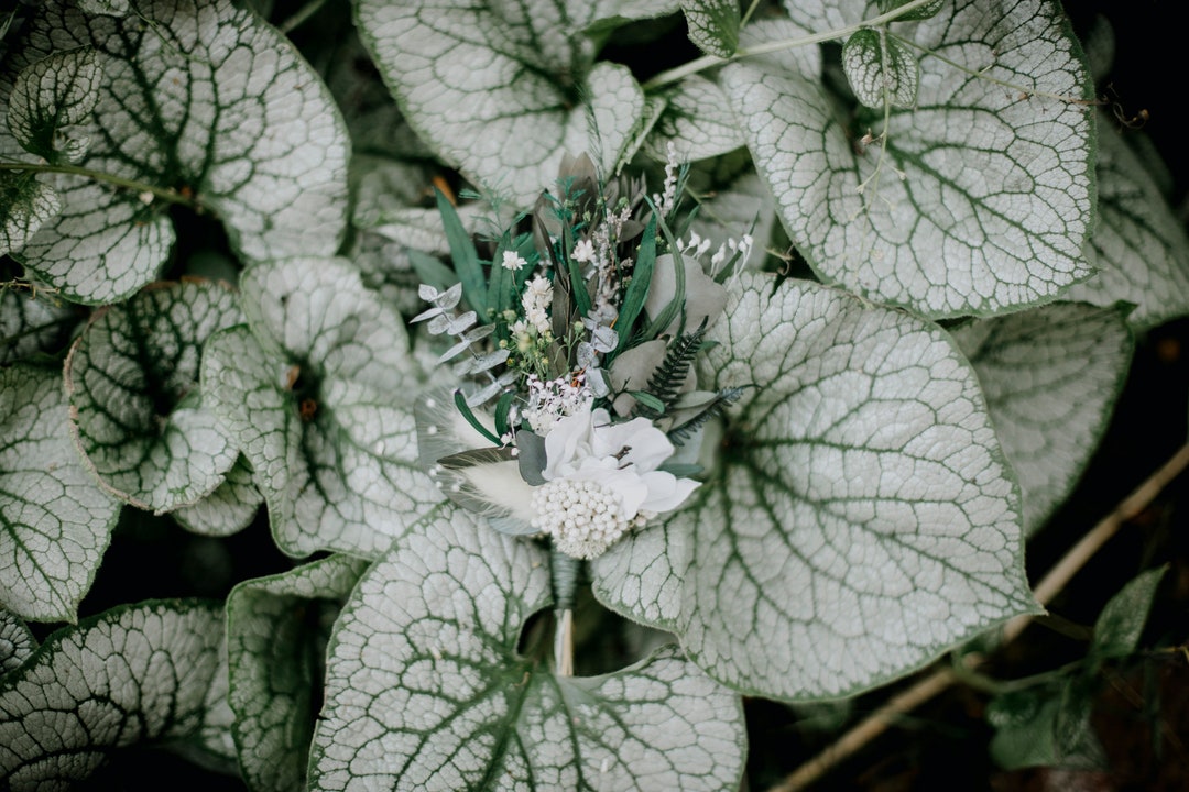 CHIRA | White Ivory Greenery Grooms Buttonhole With Preserved ...