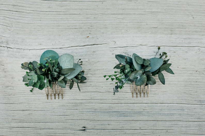 EUCALYPTUS Small Comb | Minimal Green Preserved Eucalyptus/plants Comb ...