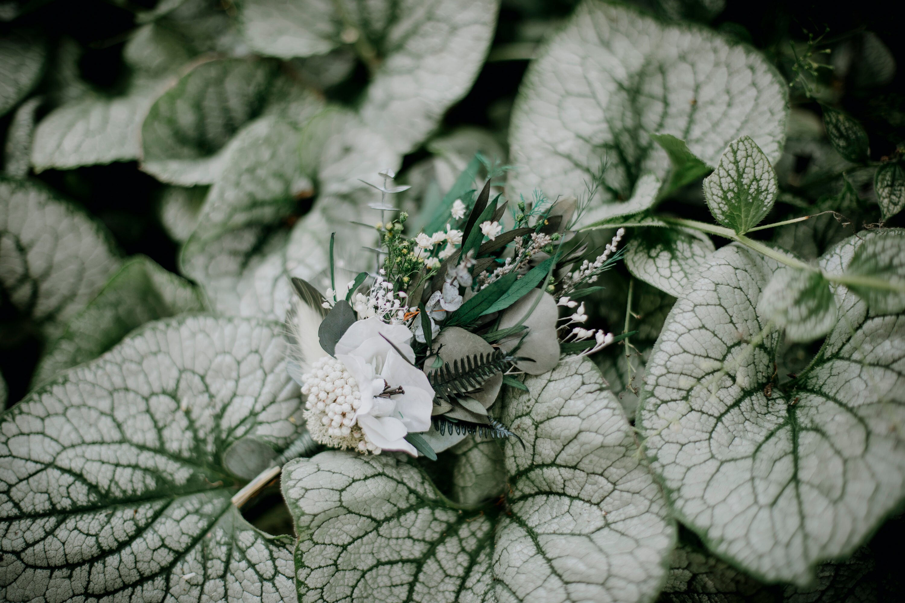 CHIRA | White Ivory Greenery Grooms Buttonhole With Preserved ...