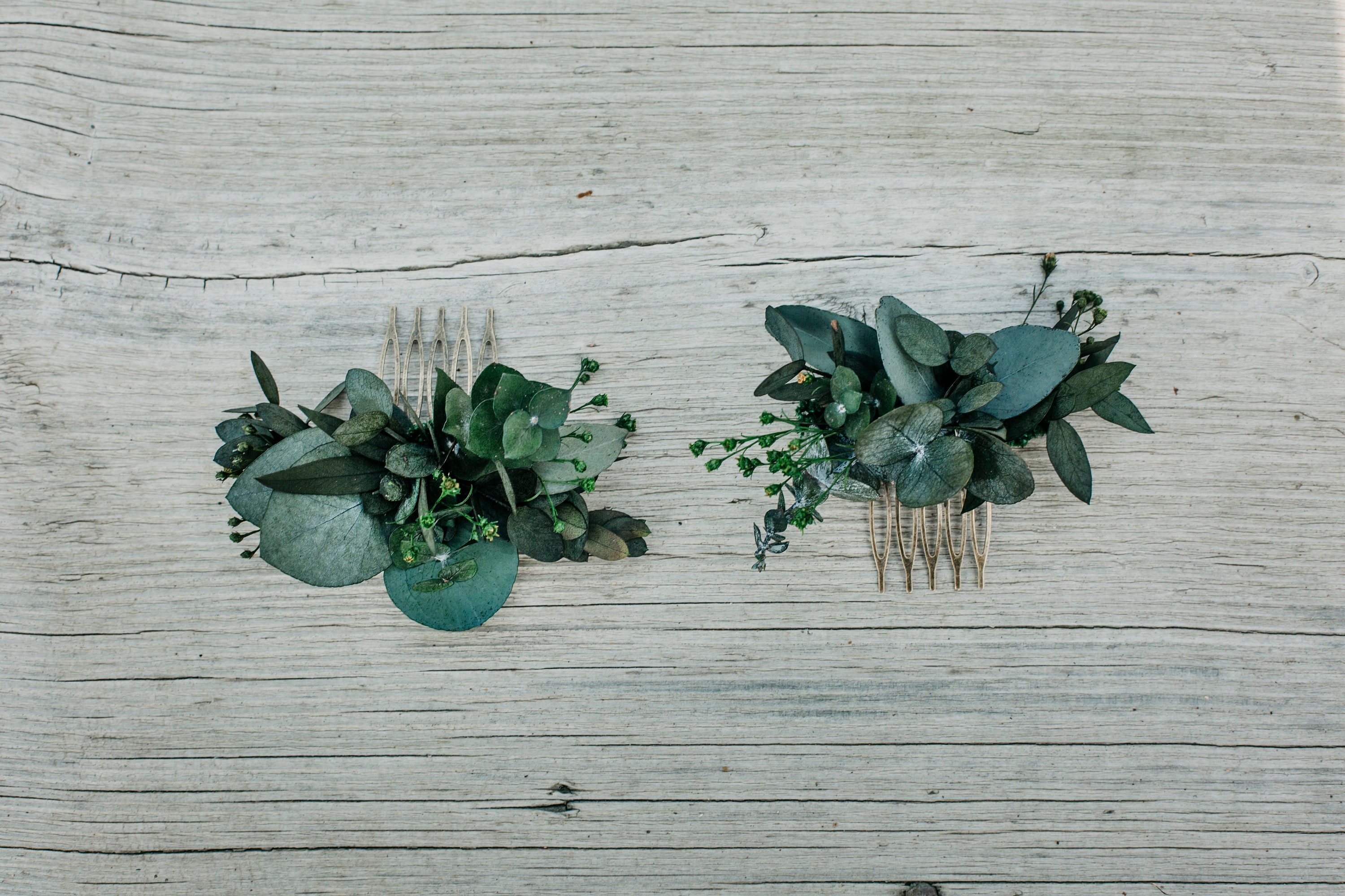 EUCALYPTUS Small Comb Minimal Green Preserved | Etsy