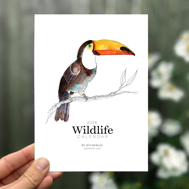 Squirrel 2026 Calendar - Etsy