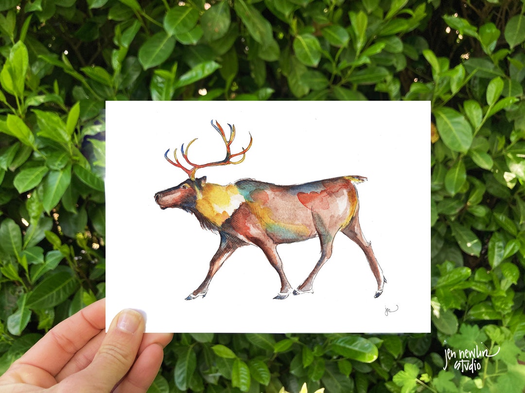 Caribou 5x7 and 8x10 Print; Wildlife Illustration; Animal Art Print - Etsy