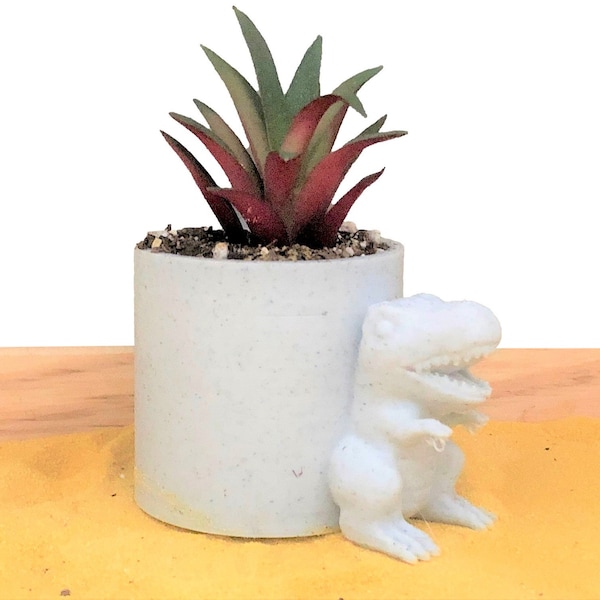 Dinosaur Planter - Etsy