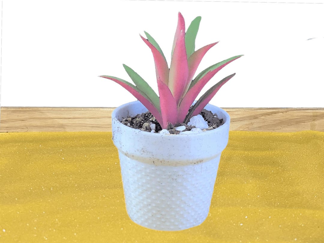 Sturdy Round Flower Pot - Pins Design Succulent Planter - Air Plant ...