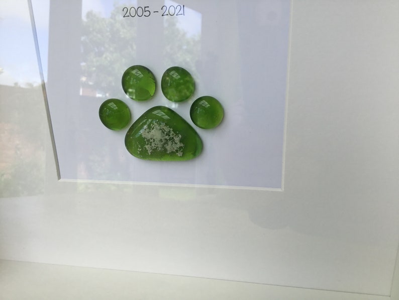 Pet Ashes in Glass Pet Memorial Cremation Keepsake Pet - Etsy