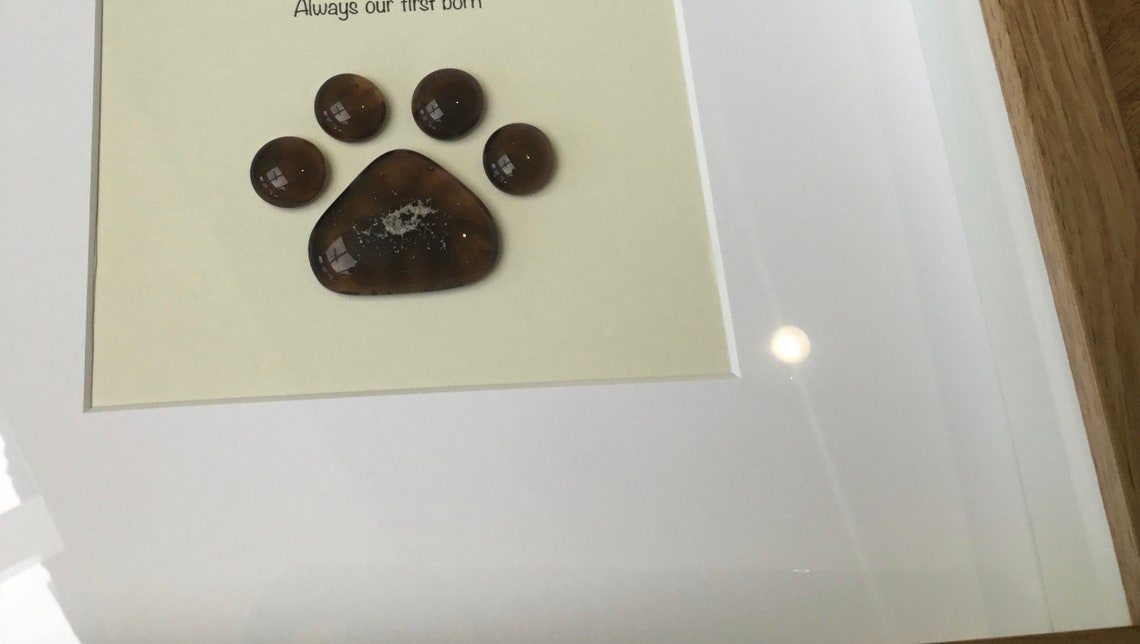 Pet ashes in glass pet memorial cremation keepsake pet | Etsy