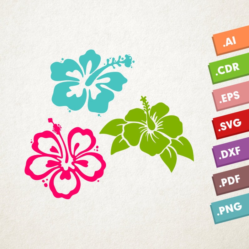 3 Hibiscus SET SVG. Instant Download Design for Cricut or Silhouette ...