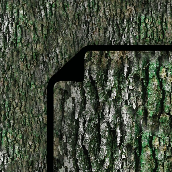 Tree Bark - Etsy