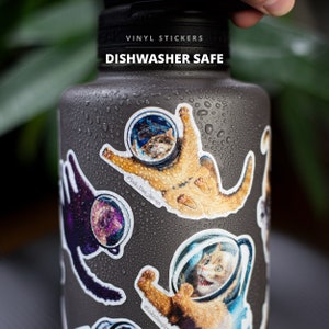 Space Cat Sticker - Squished Kitten Vinyl Sticker, Cat Astronaut ...