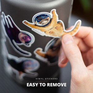 Space Cat Sticker - Squished Kitten Vinyl Sticker, Cat Astronaut ...