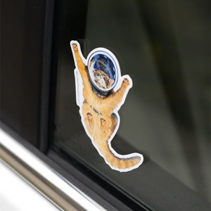 Space Cat Sticker - Squished Kitten Vinyl Sticker, Cat Astronaut ...