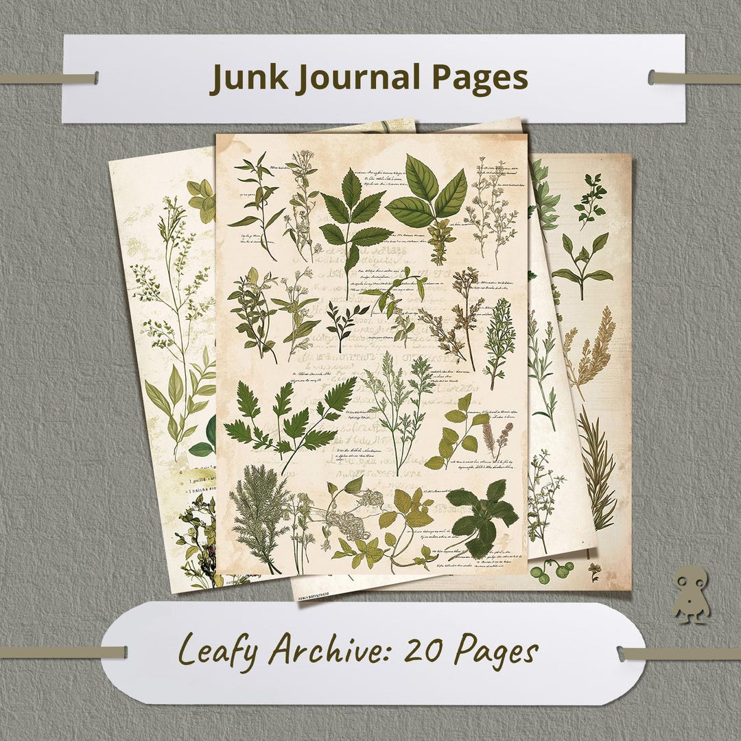 Vintage Botanical Illustration Set Floral Elements Nature Inspired ...