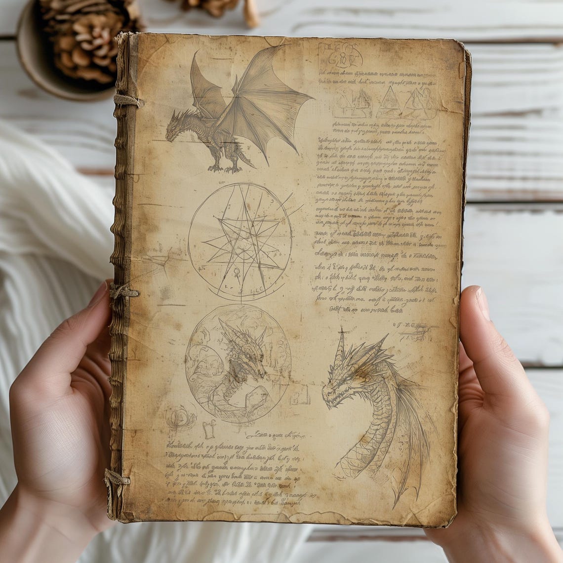 Vintage Dragon Sketch Journal Page Antique Alchemy Anatomy Drawing ...