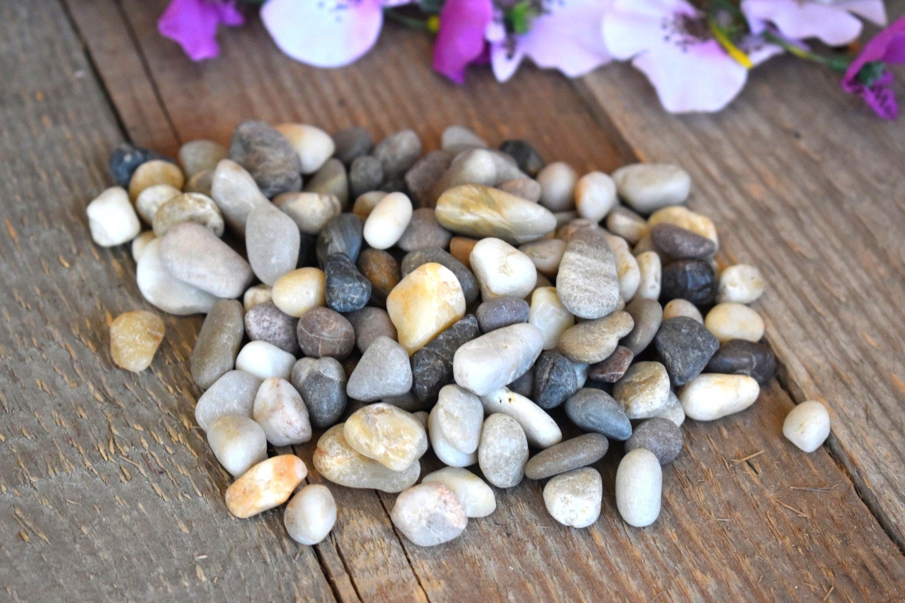 Small River Rocks Natural Mixed Colors Garden Planter Tank Craft ...