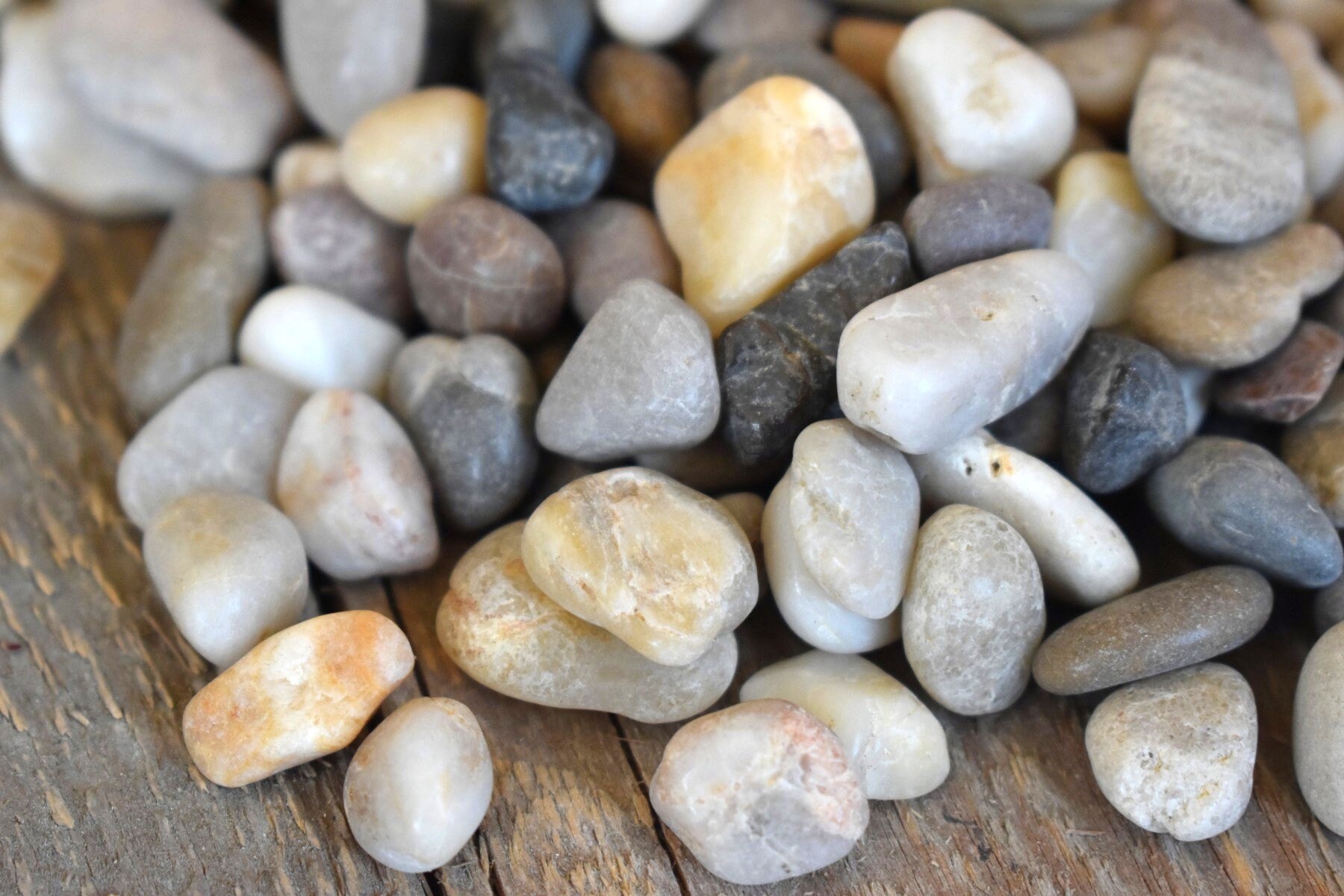 Small River Rocks Natural Mixed Colors Garden Planter Tank Craft ...