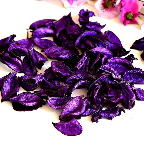 Purple Confetti - Etsy