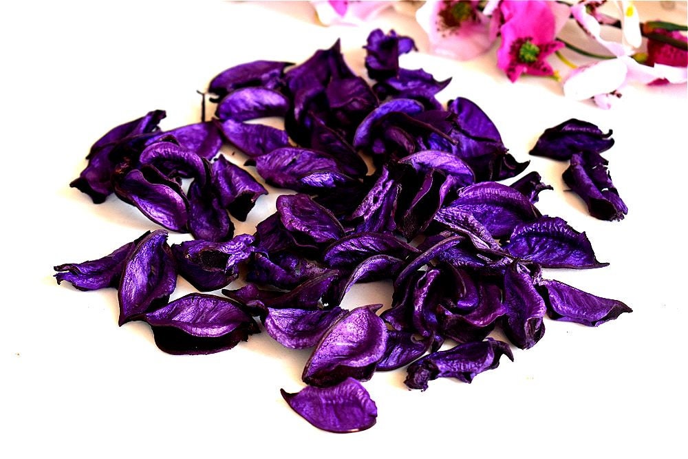 50 Pcs Natural Flowers Purple Petals Wedding Confetti Dried - Etsy