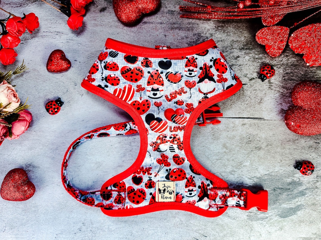 Valentine Gnome Ladybug Dog Harness/ Cute Heart Harness Vest/ Girl Boy ...