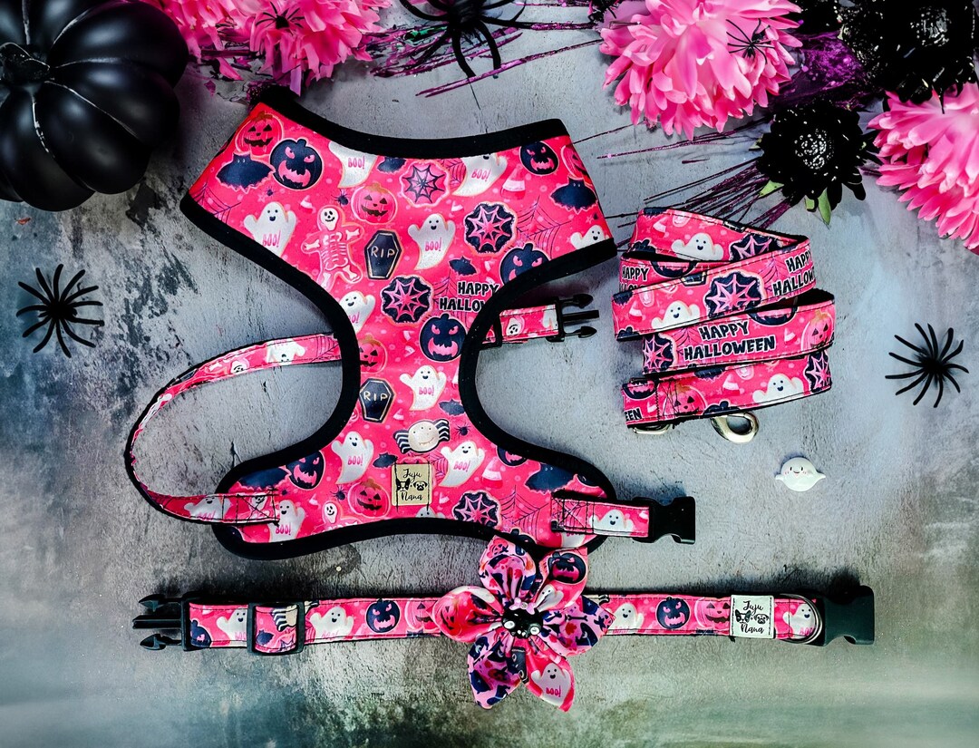 Pink Halloween Dog Harness Leash Set/ Spooky Pumpkin Ghost Harness and ...