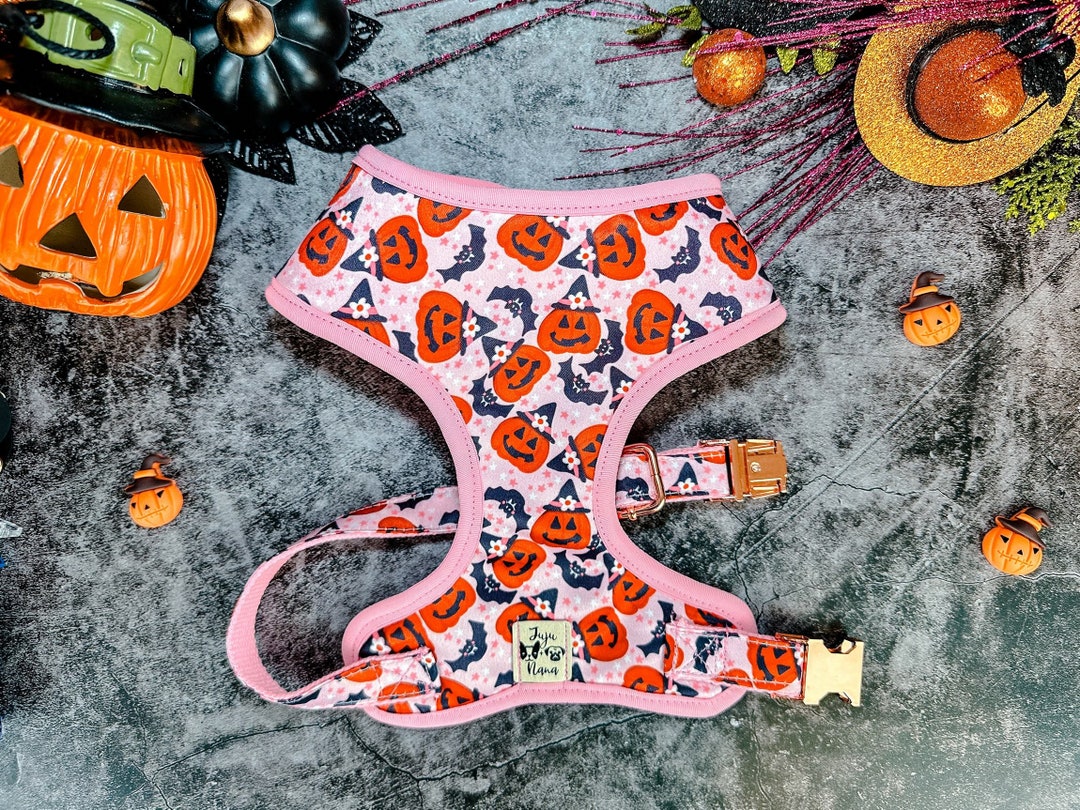 Pink Halloween Dog Harness Vest/ Pumpkin Flower Dog Harness/ Jack O ...