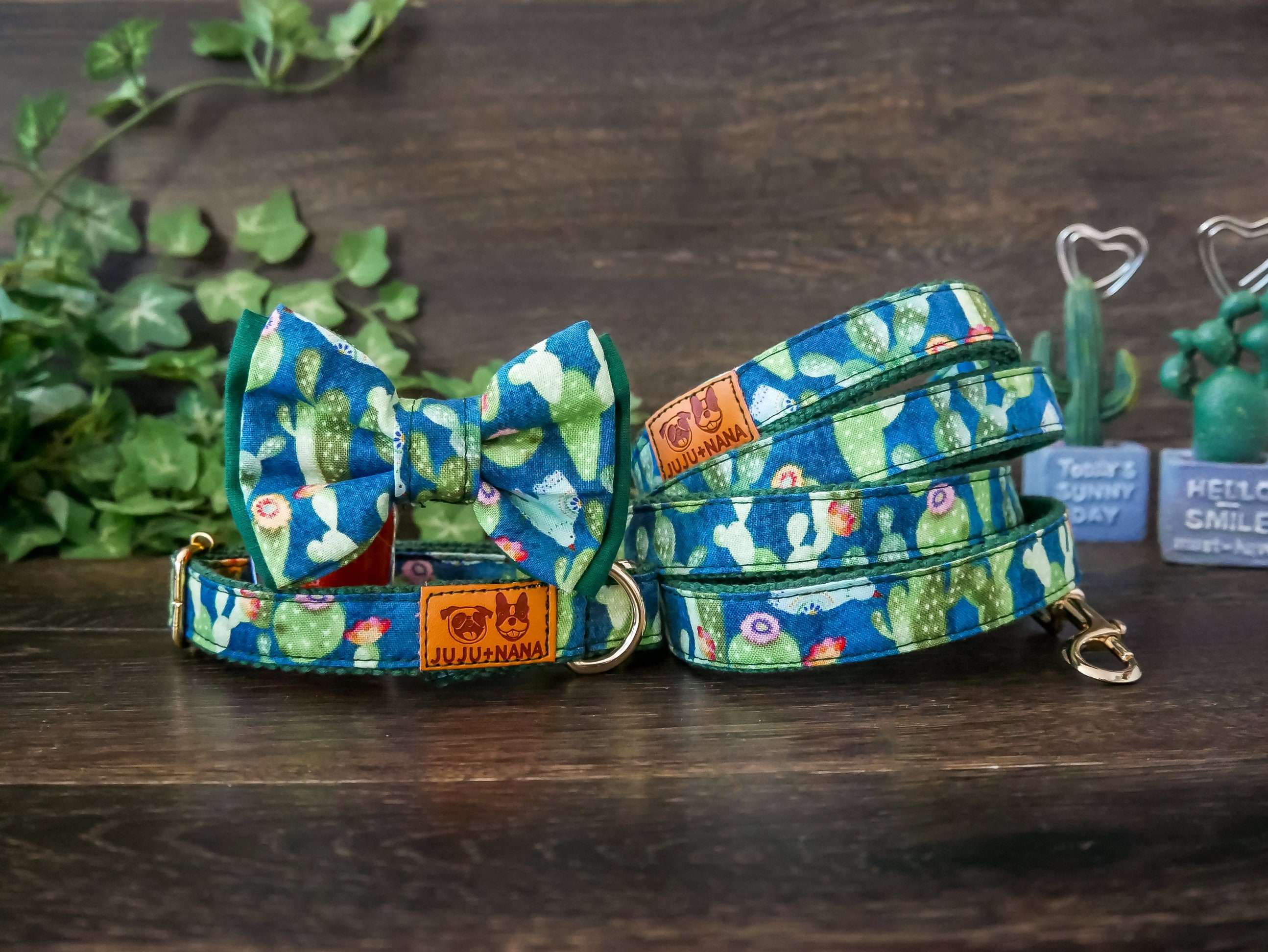 Cactus dog harness leash set/ Succulent dog harness Vest/ boy | Etsy